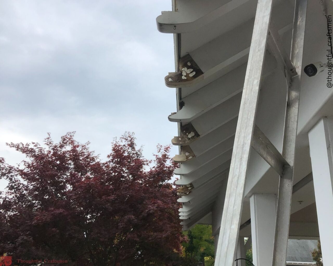 Column & Rafter Tail Restoration | Brown Deer Milwaukee